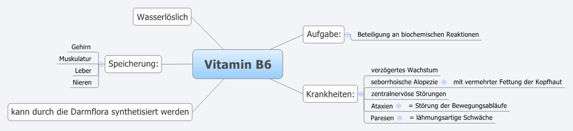 Vitamin B6 - XMind - Mind Mapping Software