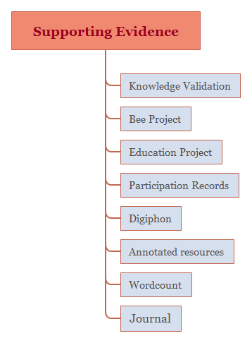 Supporting Evidence | Carolina-Therese - Xmind
