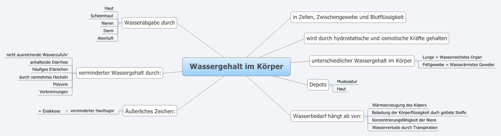 Wassergehalt im Körper | kiraduke - Xmind