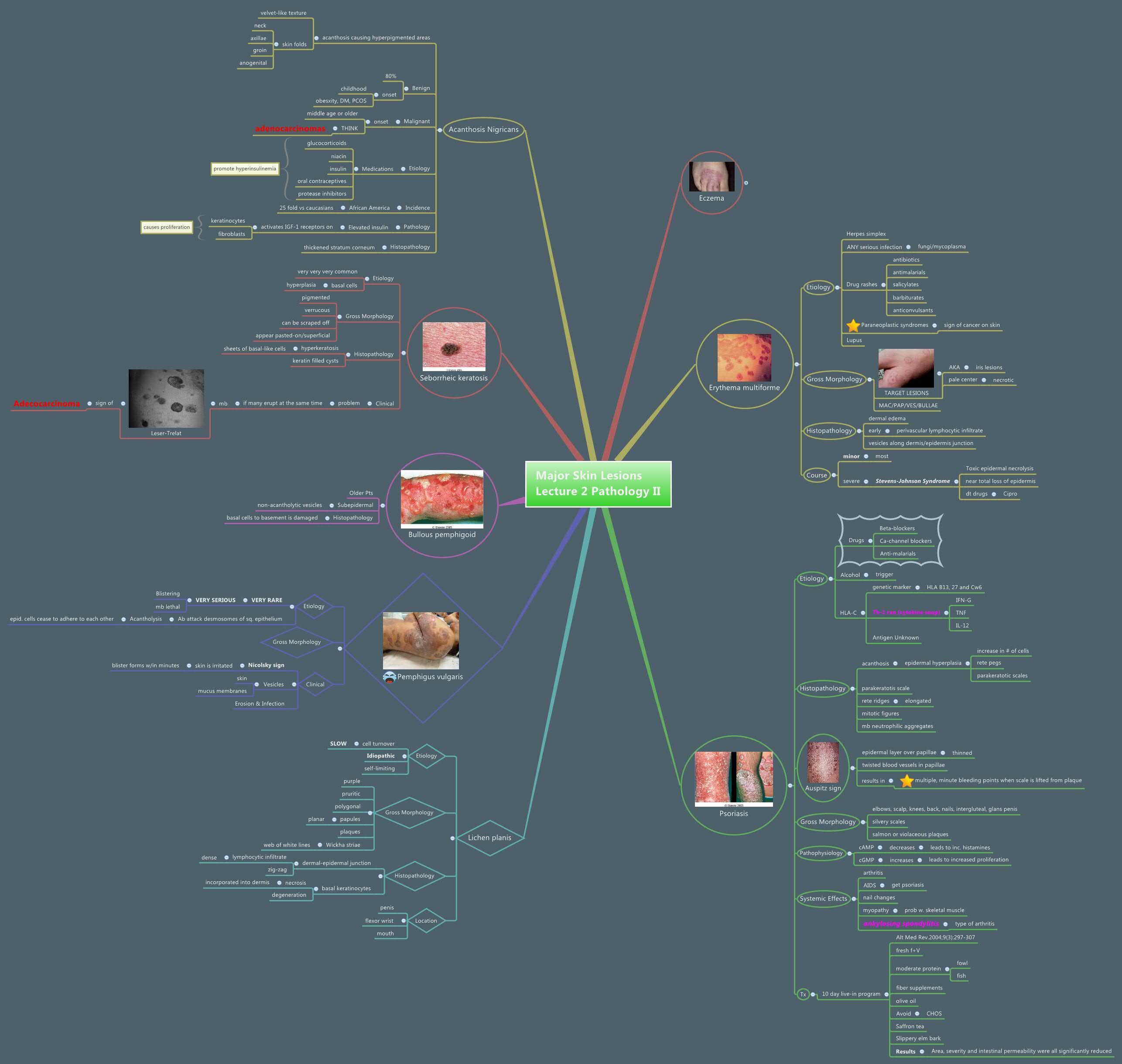 Major Skin Lesions Lecture 2 Pathology II - XMind - Mind Mapping Software