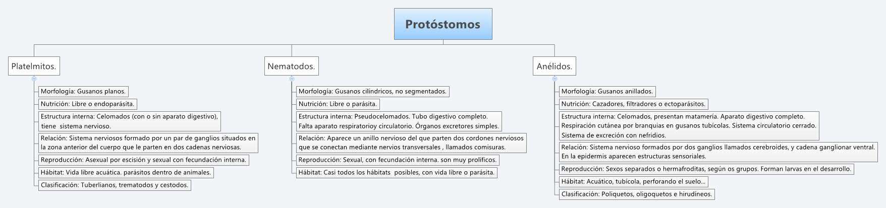 Protóstomos | jennifer69 - Xmind