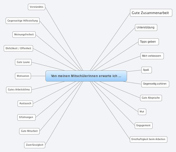Von meinen Mitschülerinnen erwarte ich ... - XMind - Mind Mapping Software