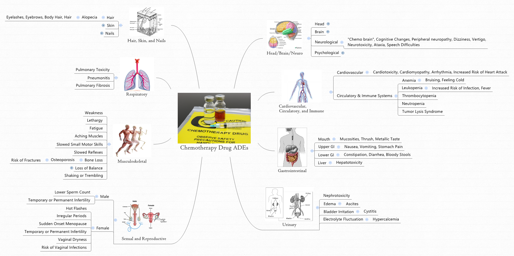 Chemotherapy Drug ADEs | jilway - Xmind