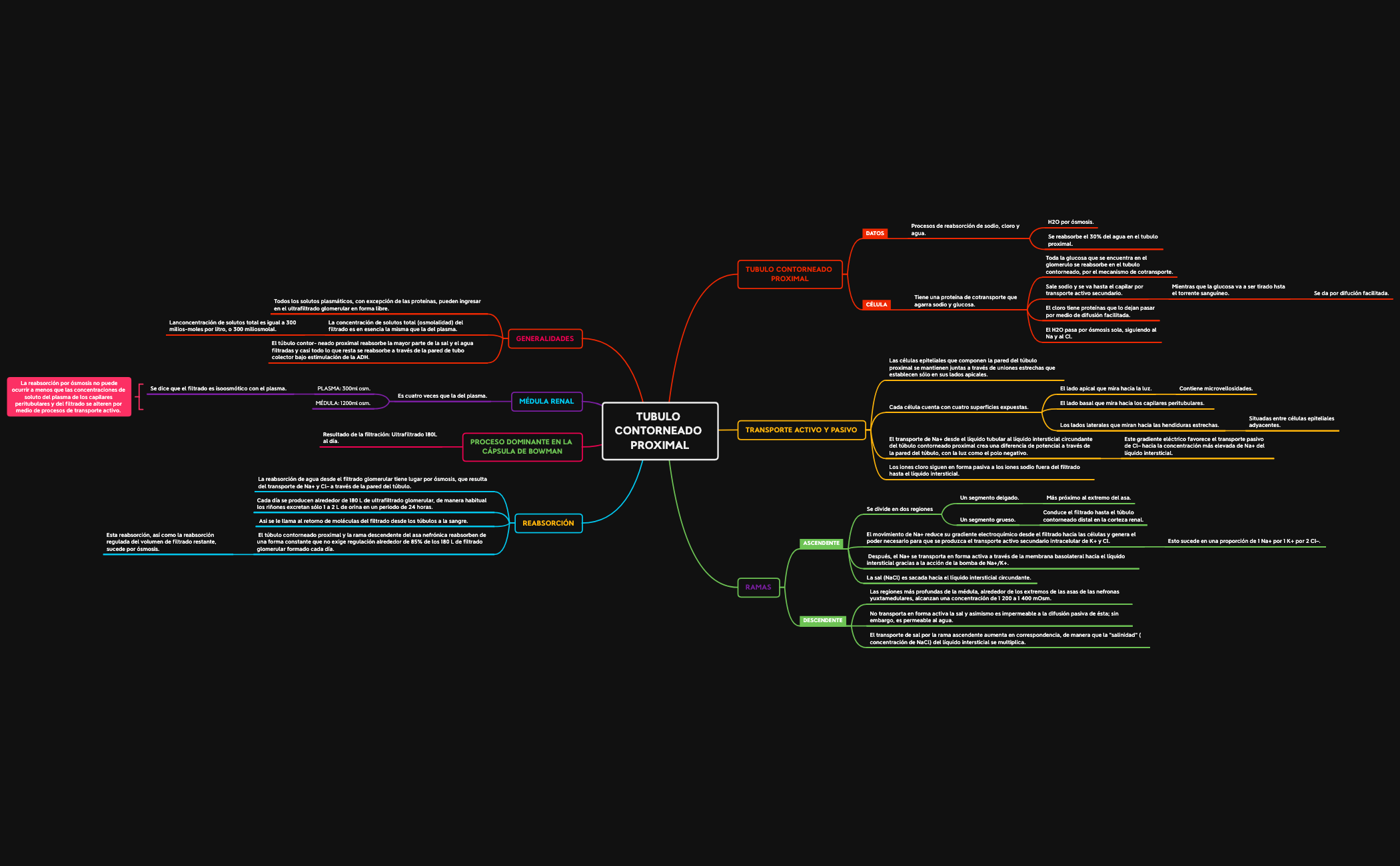 Untitled - XMind - Mind Mapping Software