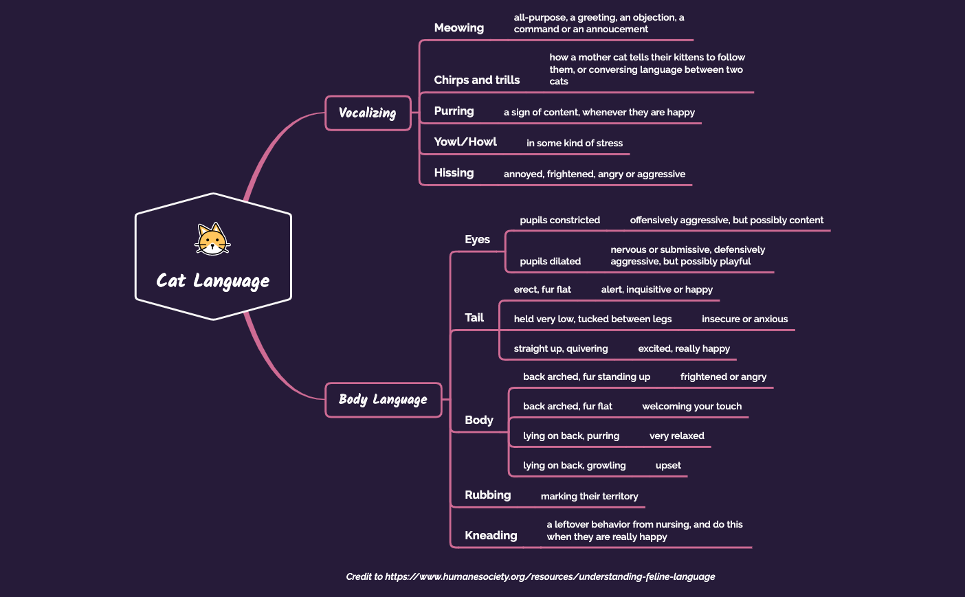 Cat Language | ilovesuica - Xmind