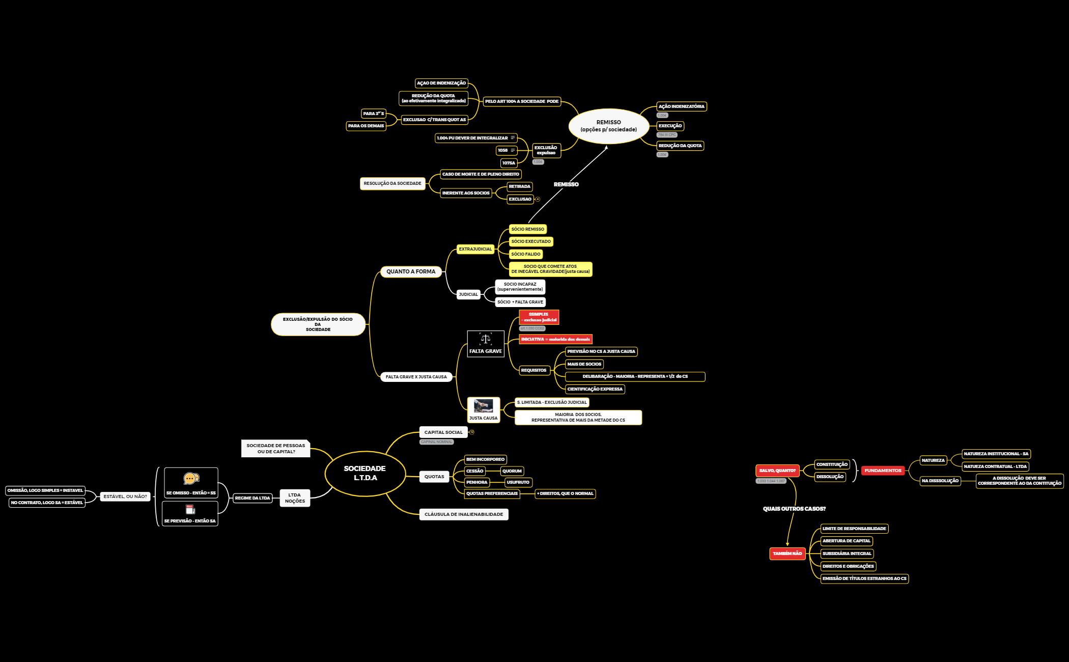 SOCIEDADE L.T.D.A | CASSIO BRASIL - Xmind