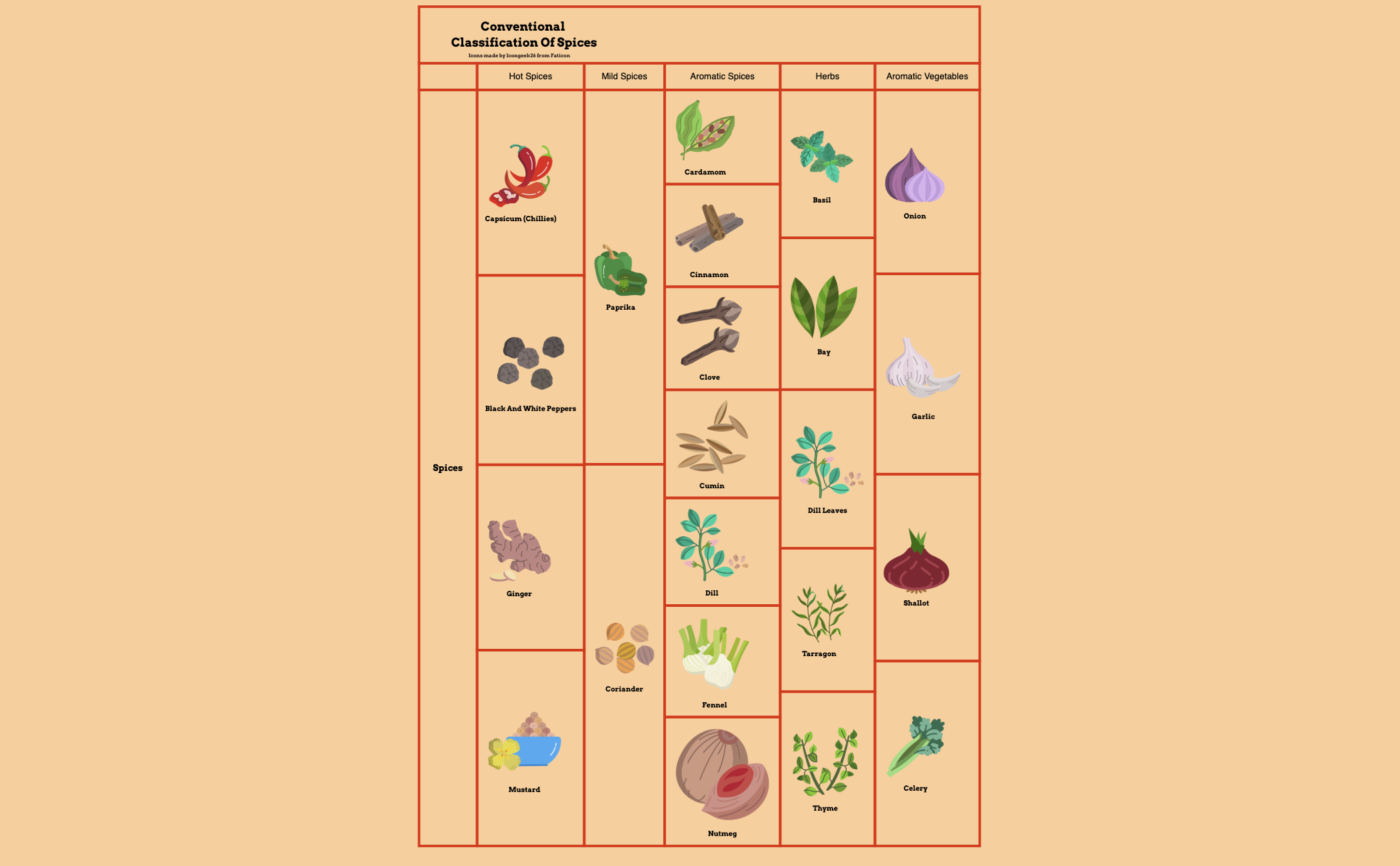 Conventional classification of spices | Anne Zhu - Xmind