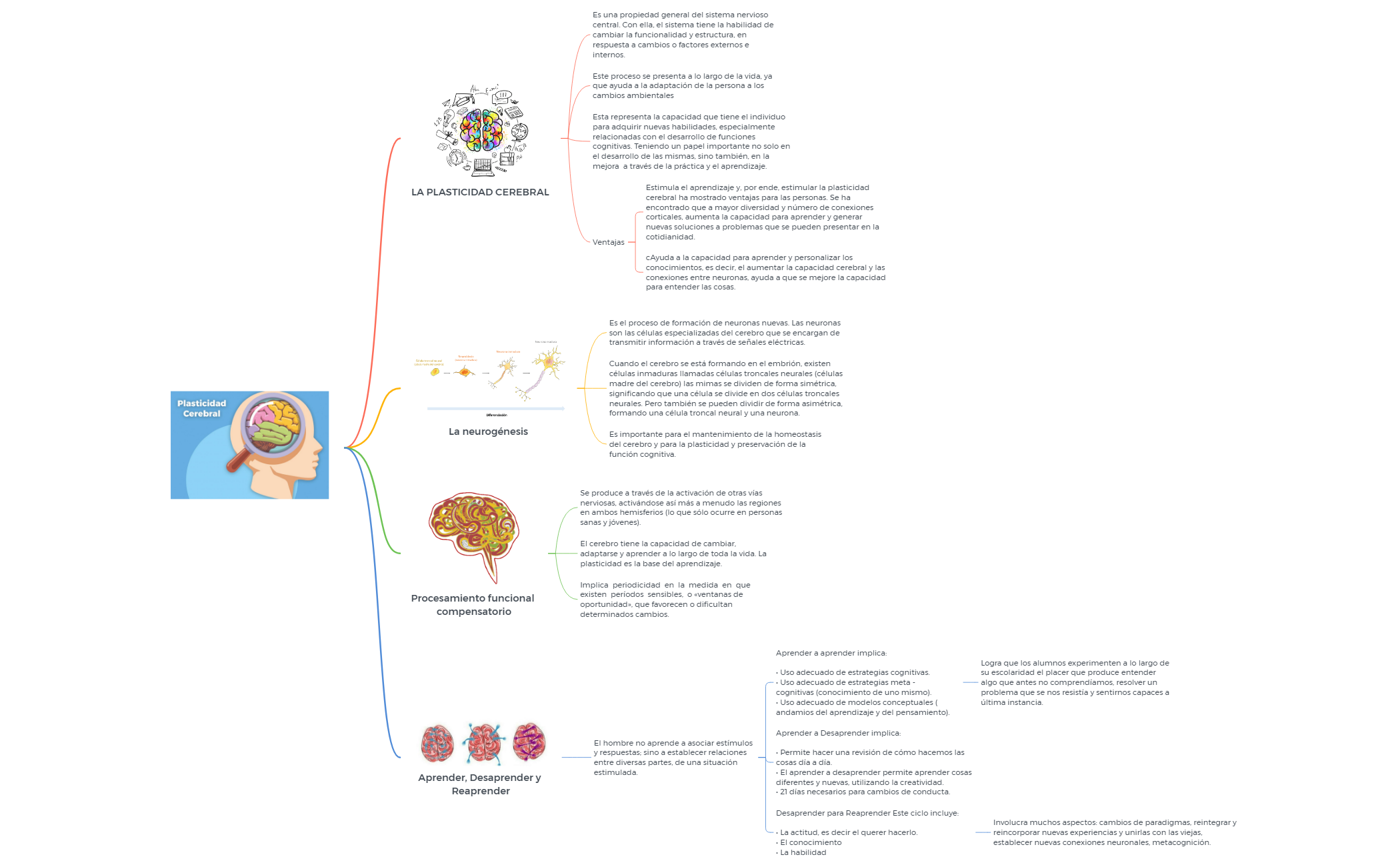 Plasticidad Neuronal - XMind - Mind Mapping Software