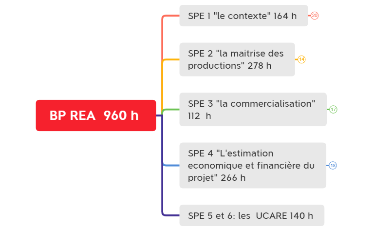 BP REA - XMind - Mind Mapping Software