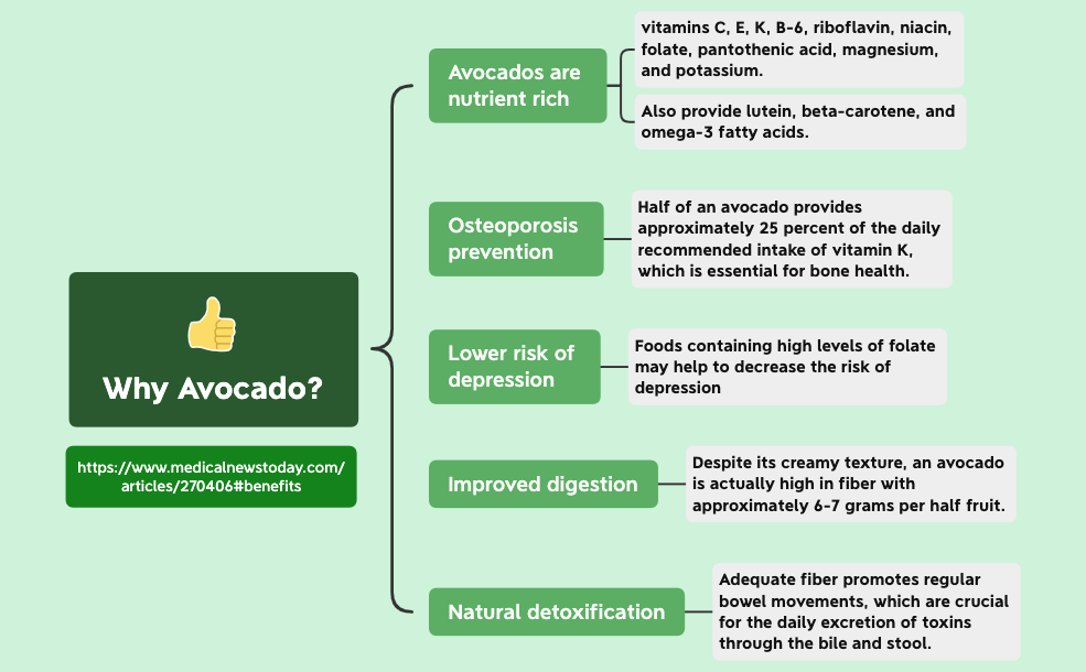 Why Avocado? - XMind - Mind Mapping Software