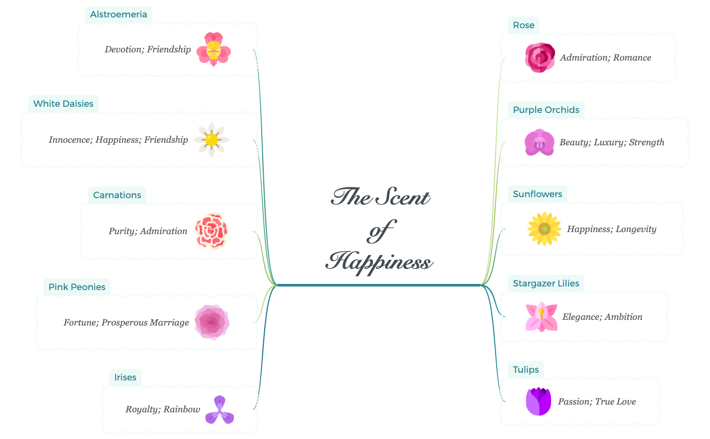 Flower Language | ilovesuica - Xmind