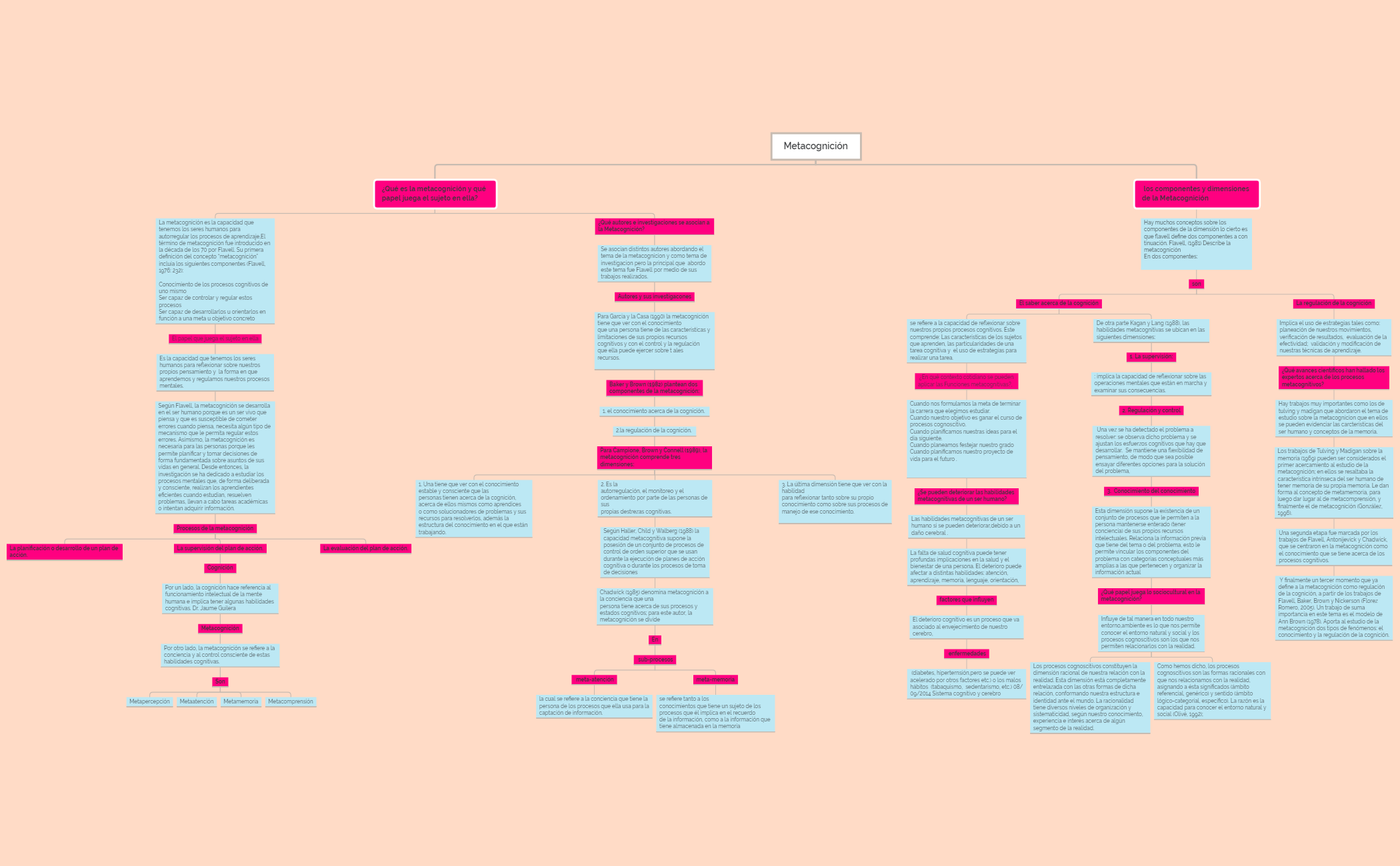 Untitled - Xmind - Mind Mapping Software