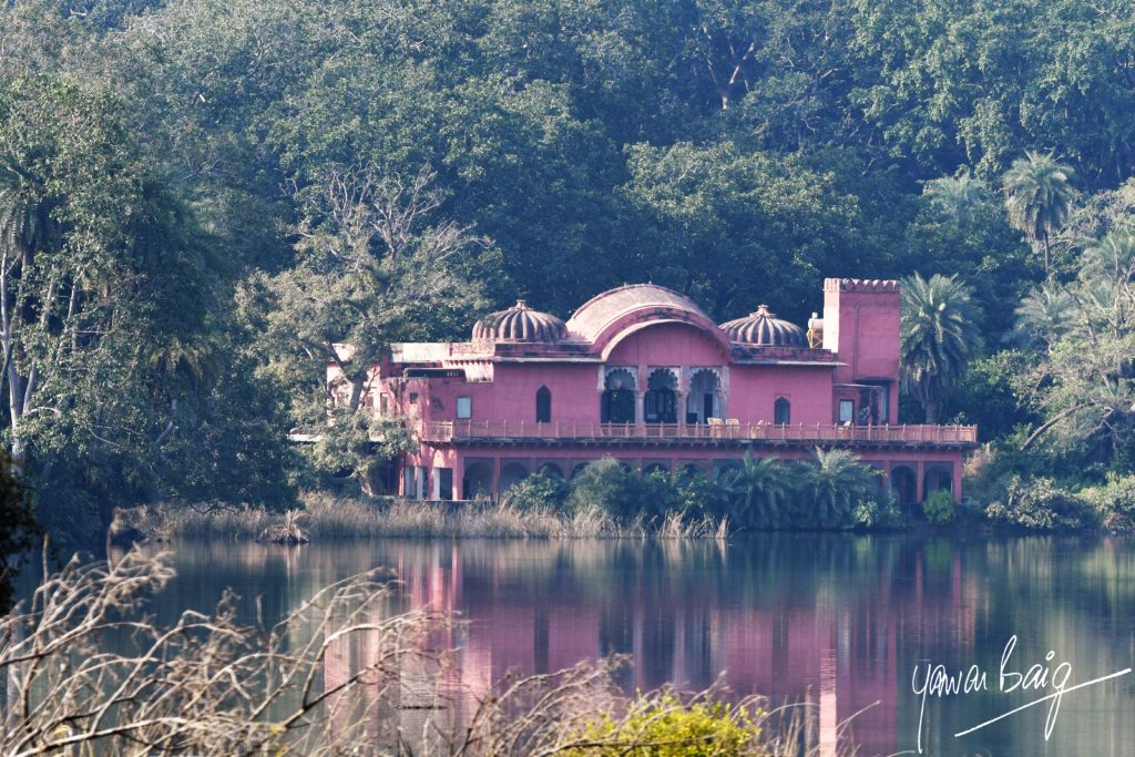 Jogi Mahal-2, Ranthambore - Yawar Baig & Associates
