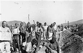 The YIVO Encyclopedia of Jews in Eastern Europe