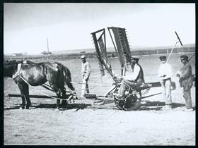 The YIVO Encyclopedia of Jews in Eastern Europe