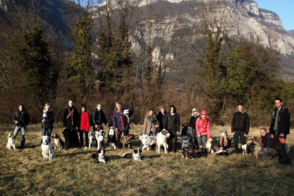 Rencontre avec Canima, des sorties organisées pour votre chien - Yummypets