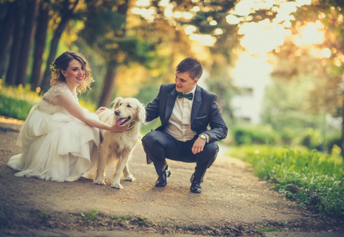 8 raisons d'inviter votre chien à votre mariage - Yummypets