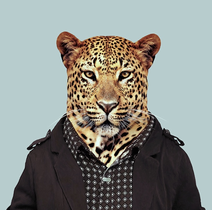 Yago Partal humanises animals on his site Zoo Animals - Yummypets