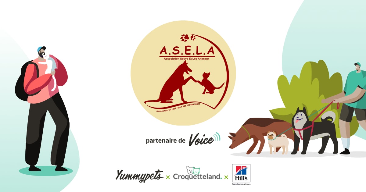 ASELA - Voice - Yummypets