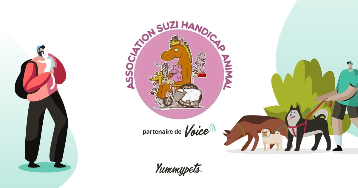 Suzi Handicap Animal - Voice - Yummypets