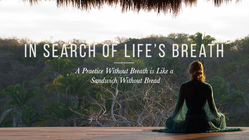 In Search of Life’s Breath | Yoga International
