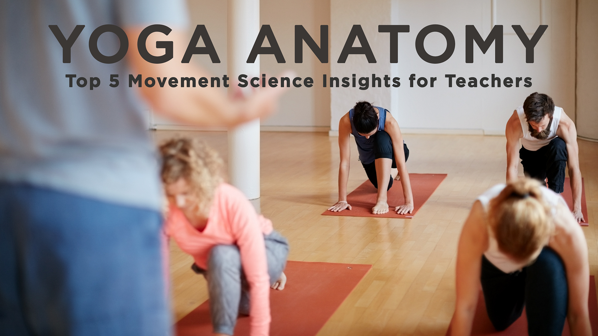Yoga Anatomy: Top 5 Movement Science Insights for Teachers