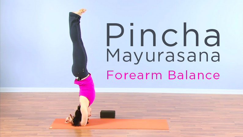 Pincha Mayurasana: Forearm Balance | Yoga International