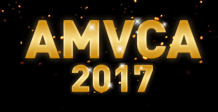 Here are the AMVCA 2017 Winners - YOMZANSI. Documenting THE CULTURE
