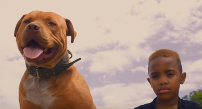 Nasty C says he's all saucy & Nando's on 'NDA' music video - YOMZANSI ...