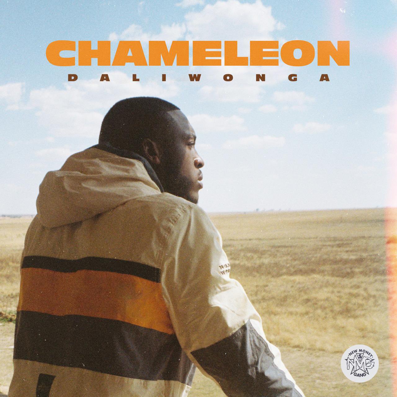 STREAM: Daliwonga delivers his debut album "Chameleon" - YOMZANSI ...