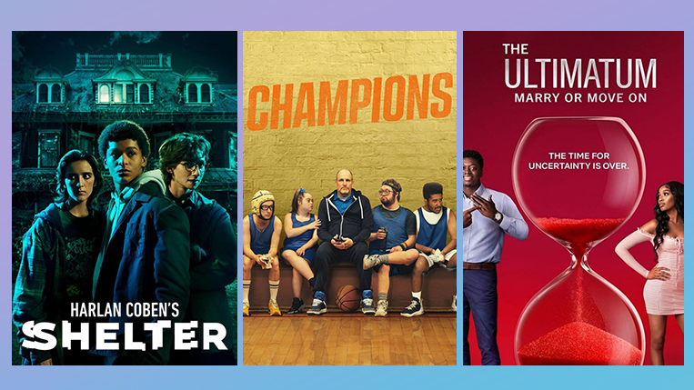 Harlan Coben's Shelter and Marry or Move On Season 2