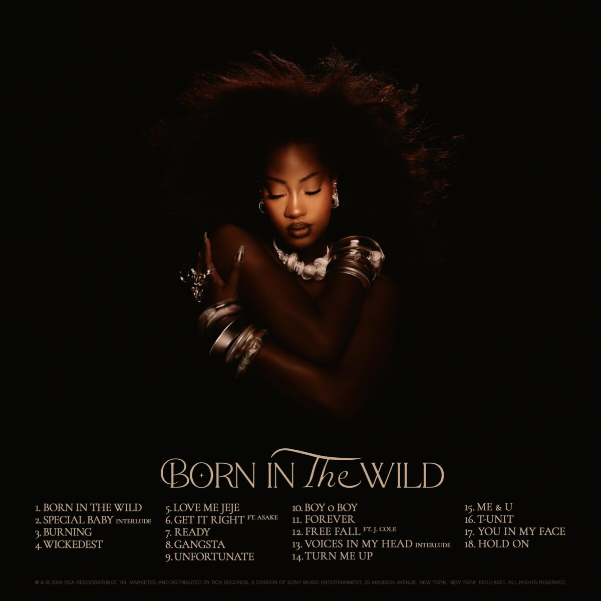 Tems Album 'Born in the Wild' - Tracklist, Features, Release Date