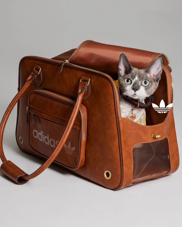 adidas has a pet collection