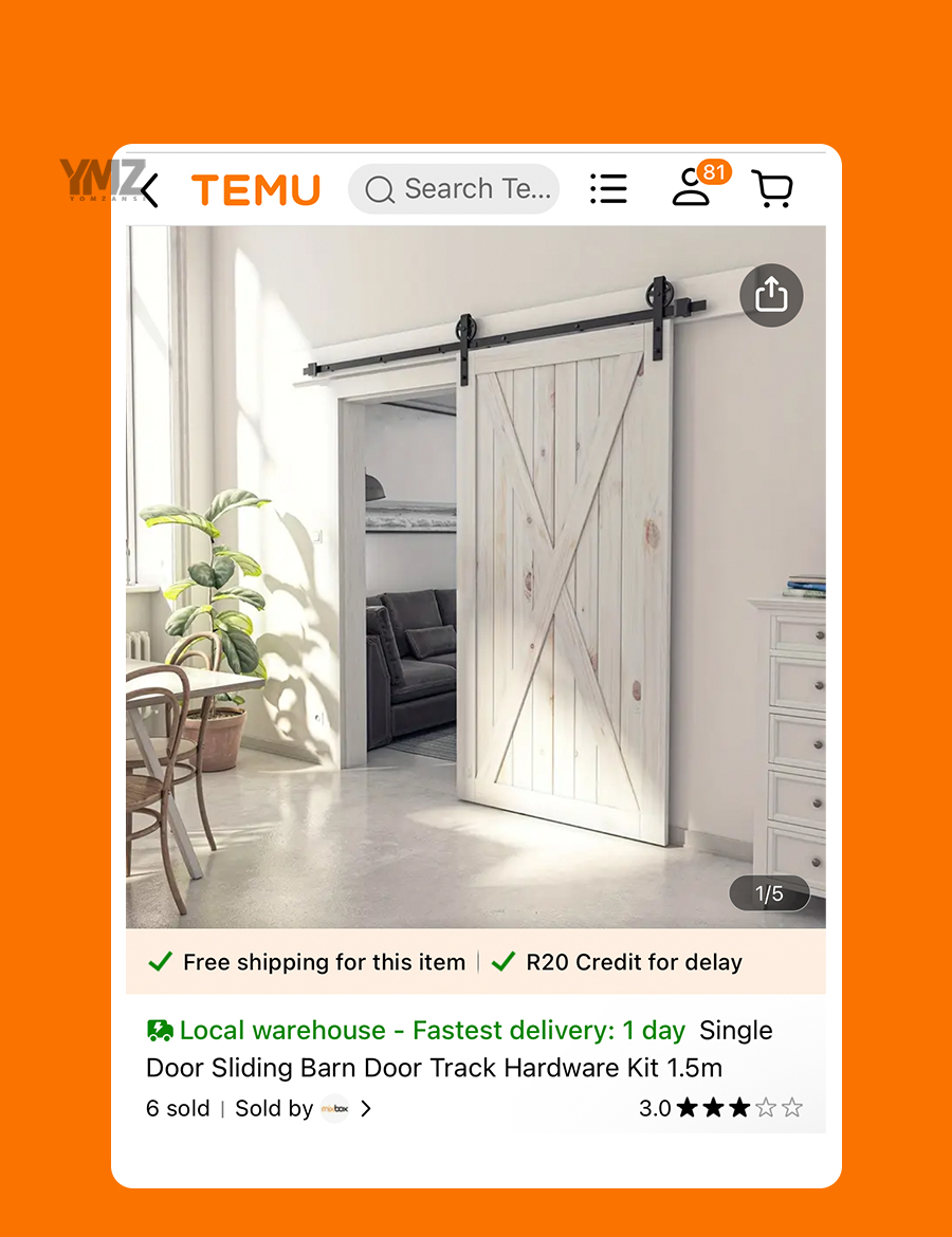 Temu launches local warehouse in South Africa ‘same-day’ delivery