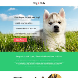 Dog Landing Page Templates | TemplateMonster