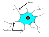 Connector Neuron