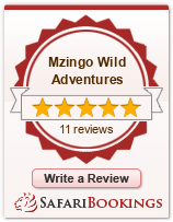 Mzingo Wild Adventures | All Round Experience