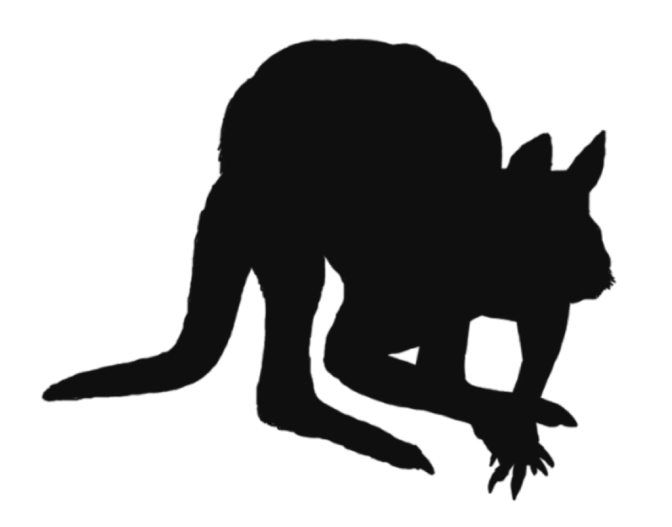 Logbook of Australia’s ancient megafauna | Research Communities by ...