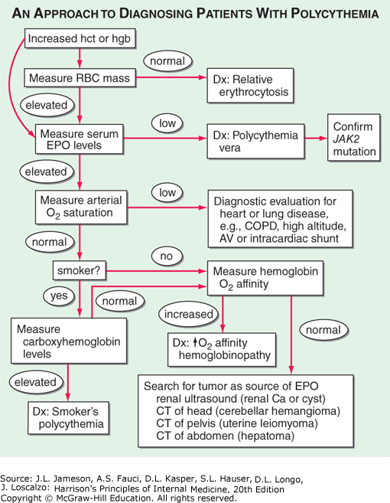 Harrison's polycythemia | AccessMedicine Network