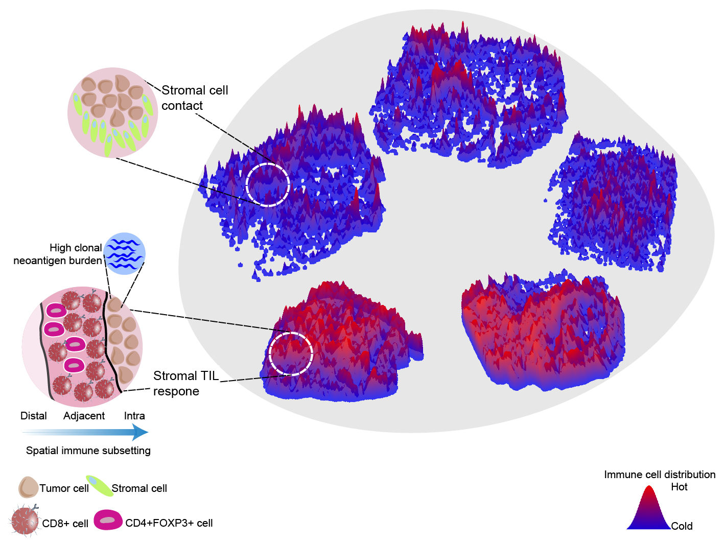 AI, histology and cancer evolution | Research Communities by Springer ...