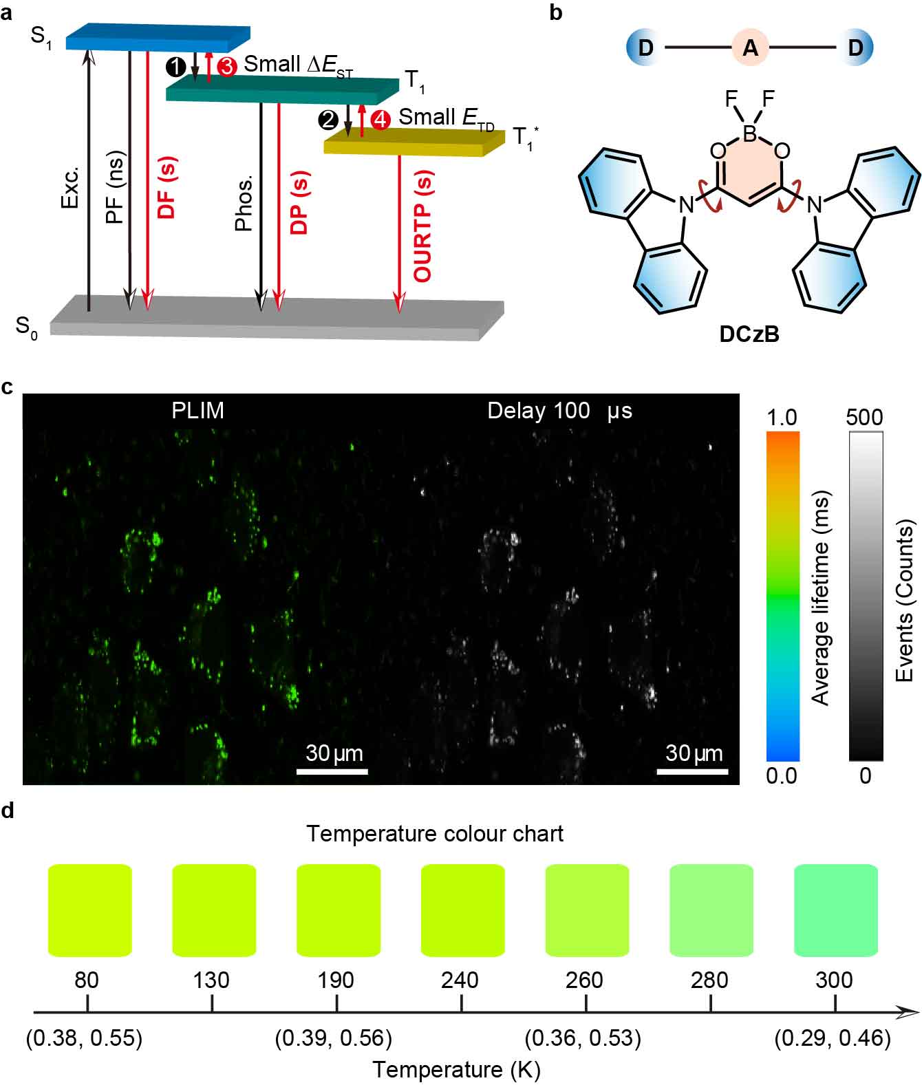 Thermally activated triplet exciton release for highly efficient tri ...