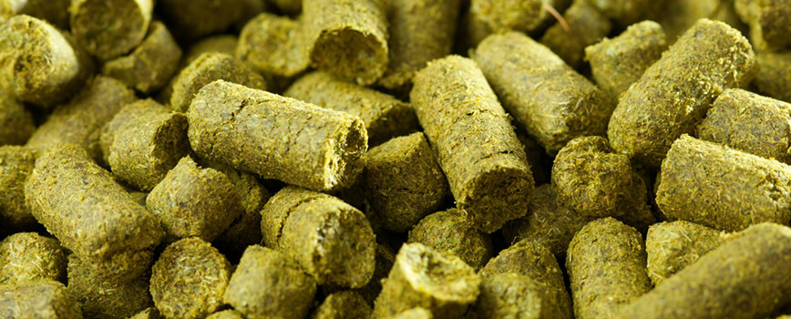 Hopsteiner Hops - Brewpark