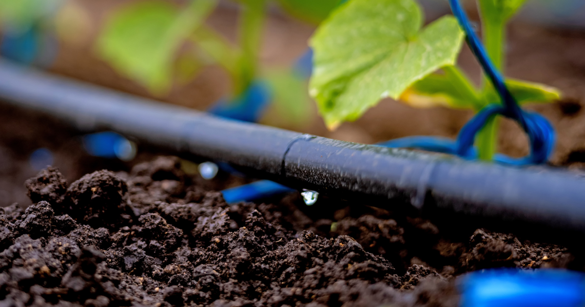 Saving Water Made Simple: Your Guide to Efficient Irrigation Systems