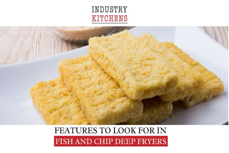 What Features To Look For In Fish and Chip Deep Fryers?