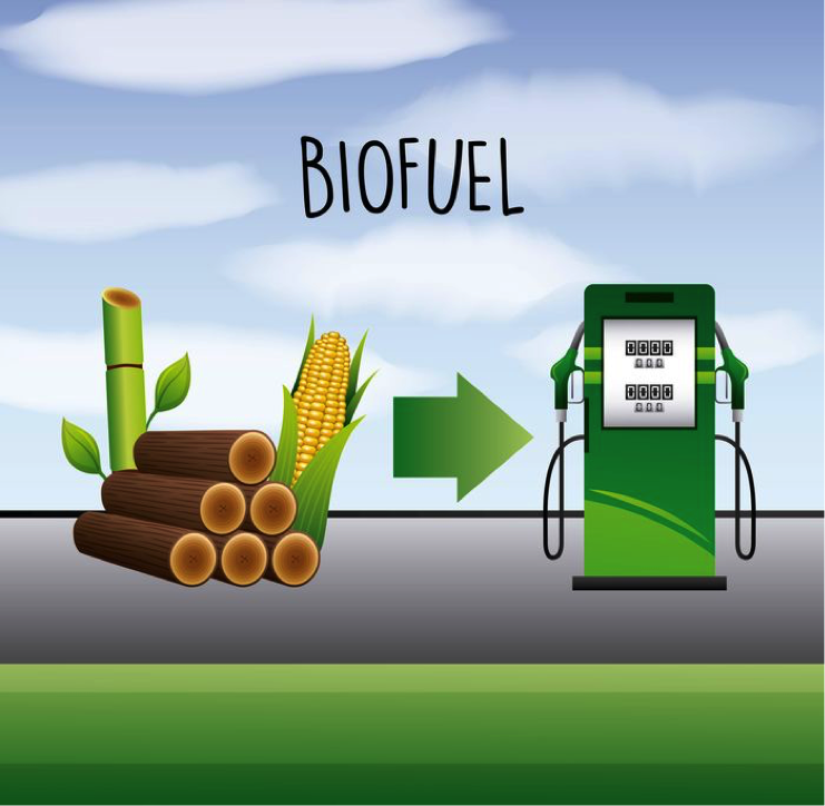 Visit Burt Process Equipment to learn about biofuel production and find ...