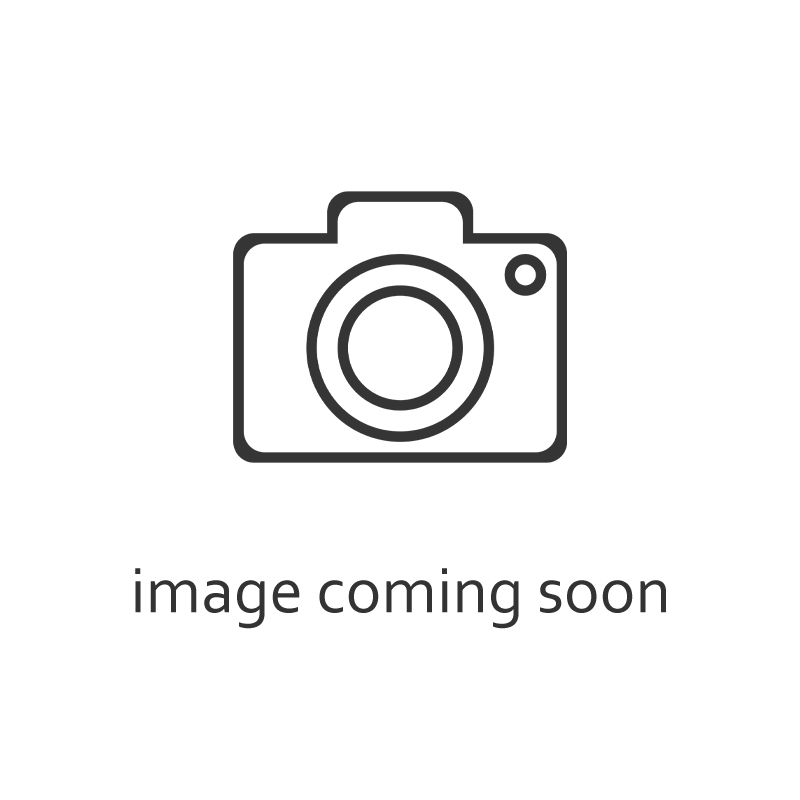 1/24 New Orleans Streetcar Wooden Model Kit