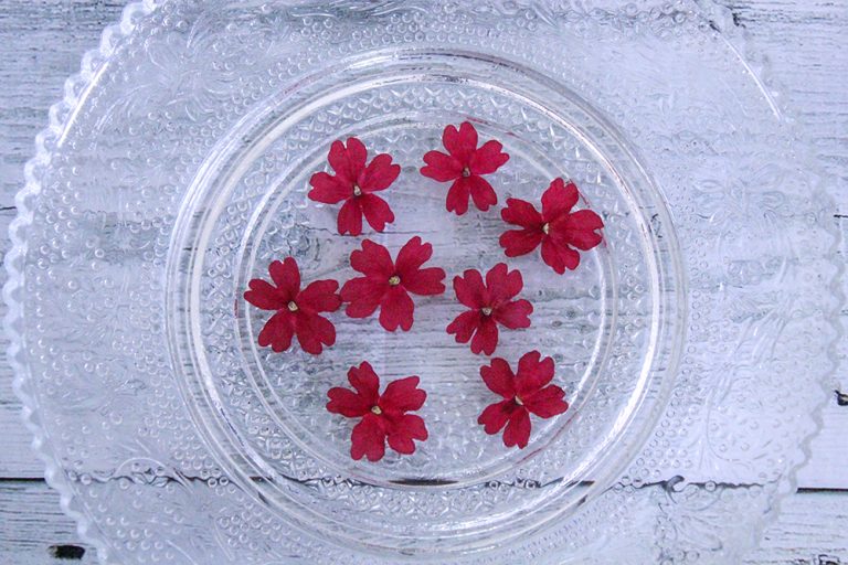 Edibles Flowers & Leaves Japan's Best to You