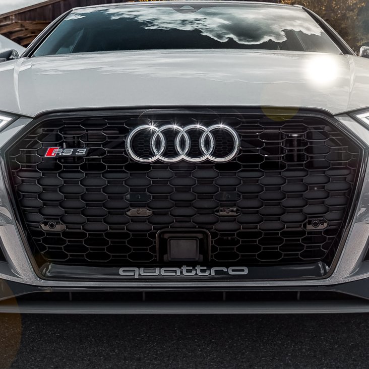 RS3 Style Grille....anyone?