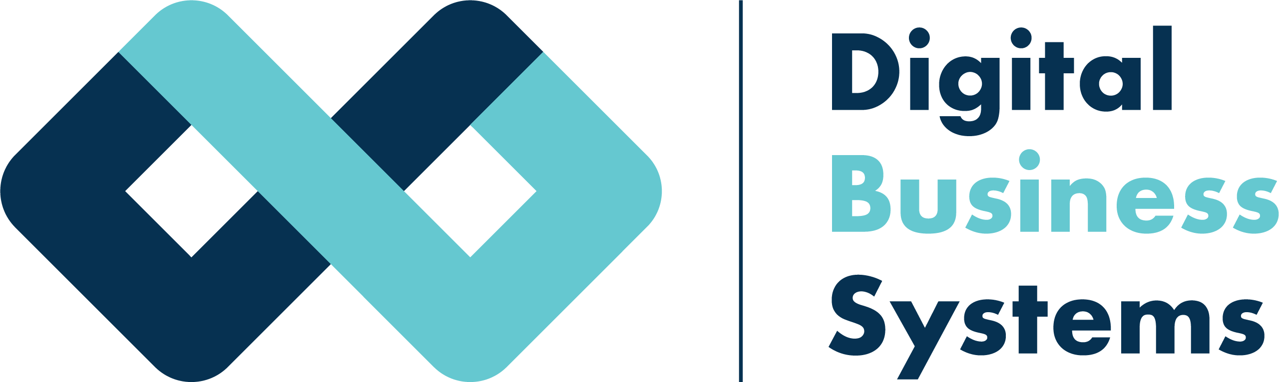 Digital Business Systems Careers Page