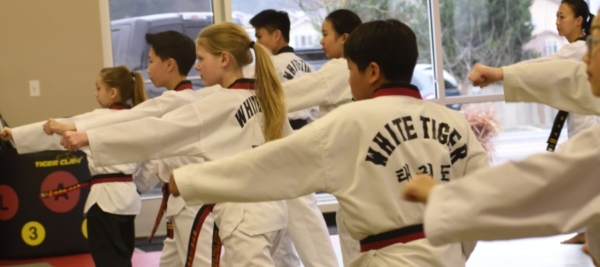 White Tiger Martial Arts | Programs | White Tiger Martial Arts, LLC